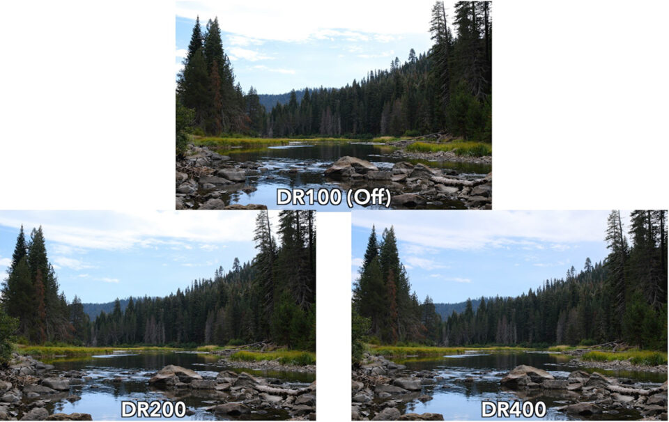 Fujifilm Dynamic Range Priority vs Dynamic Range