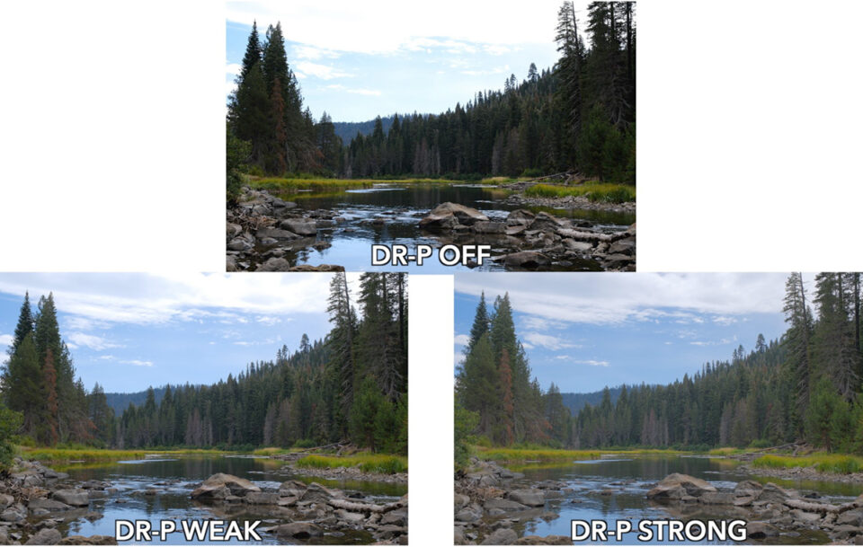 Fujifilm Dynamic Range Priority vs Dynamic Range