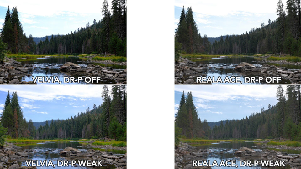 Fujifilm Dynamic Range Priority vs Dynamic Range
