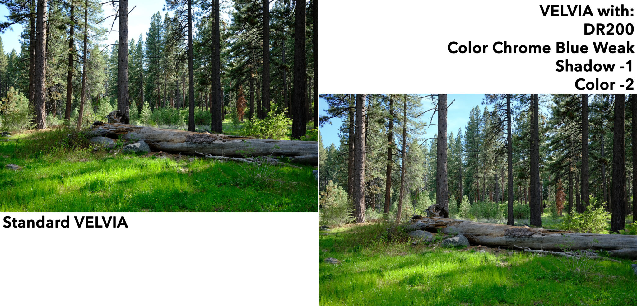 Guide to Fujifilm Image Quality Settings