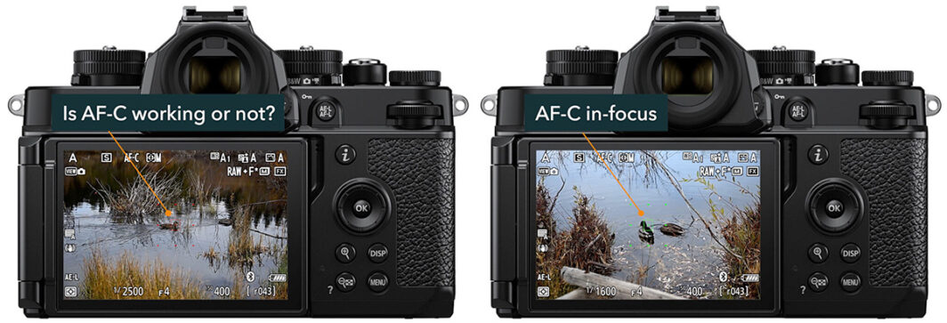 Must-Change Nikon Zf Settings: Customize These for Better Results