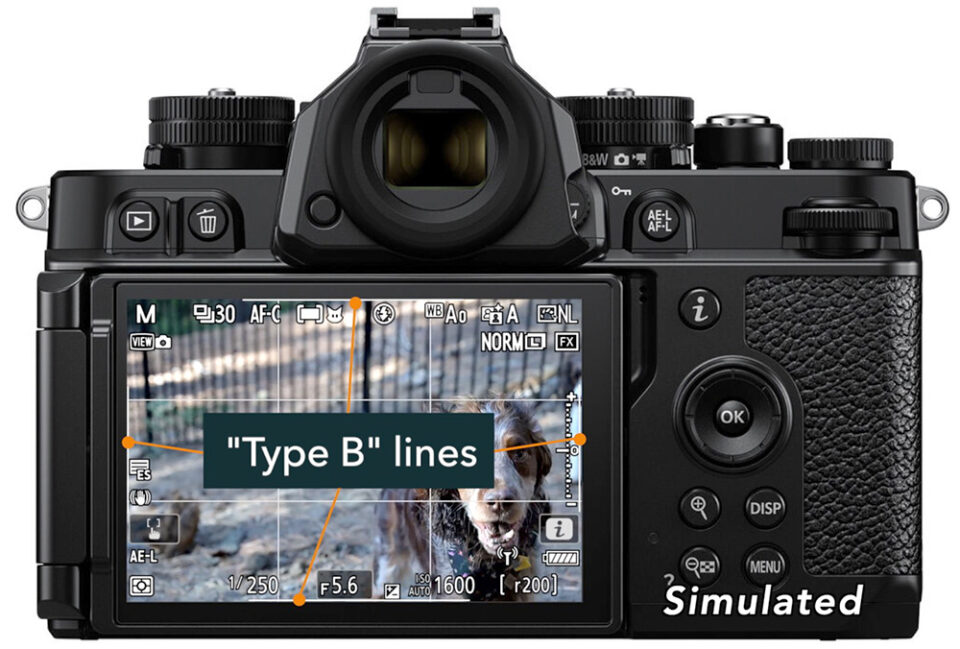 Must-Change Nikon Zf Settings: Customize These for Better Results