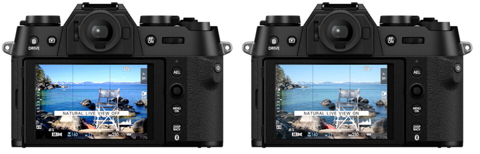Fujifilm X-T50 Menu Setup Guide: Get the Most From Your New Camera