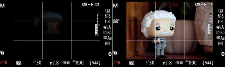 Nikon Z Focusing Tips for Easier Use