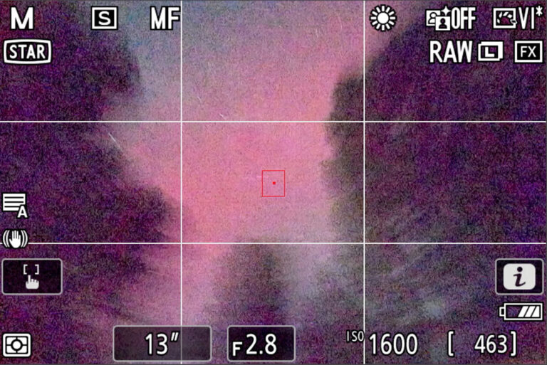 Nikon Z Focusing Tips for Easier Use
