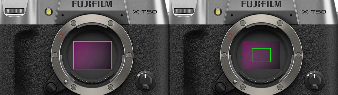 What Are Digital Teleconverters? Are They Substitutes for Lenses?