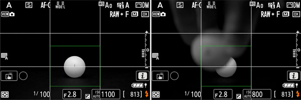 Nikon Focus Tips: Prevent AF From Jumping to the Wrong Subject
