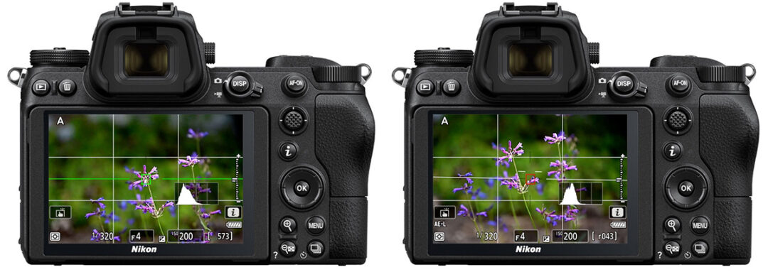 How to Use Back Button Focus on Nikon Z Cameras